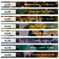 Signature Sampler Kit | Noteworthy Scents Fragrance Collection