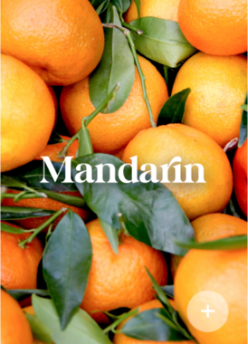 Discover Mandarin, Woody Eau De Parfum | Noteworthy Scents
