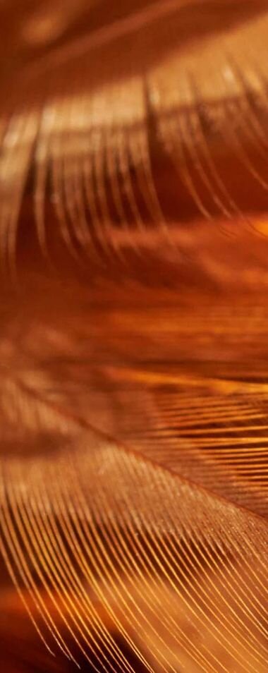 BLENDS — справжній смак тютюну | IQOS UA