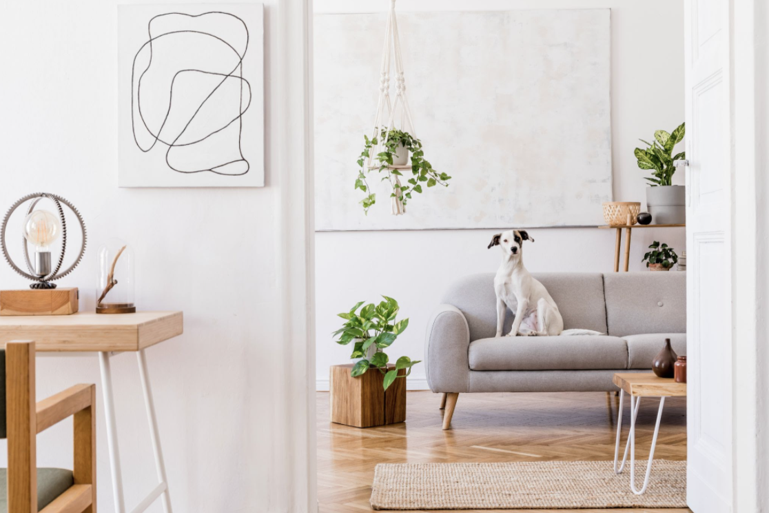 1920s interior design evolution: From Art Deco to today's trends