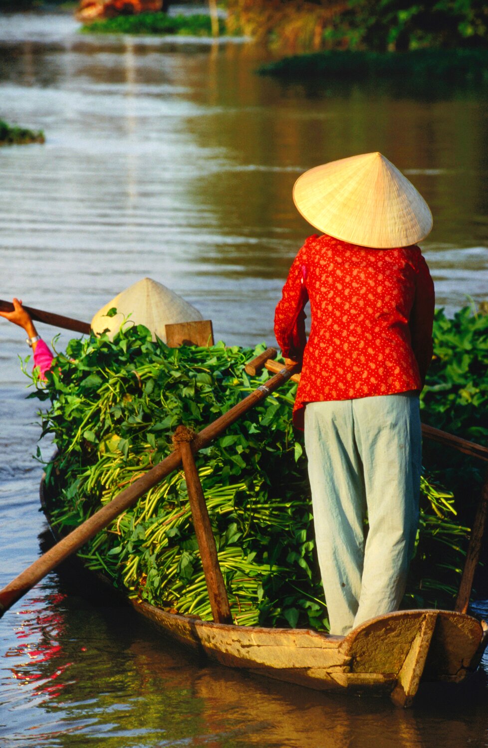 Mekong River Cruises | AmaWaterways