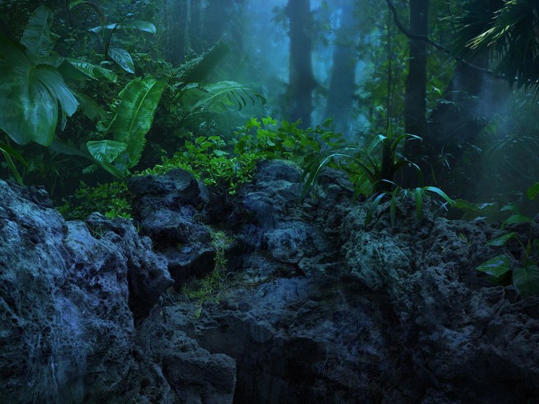 About FIJI Water | FIJI Water