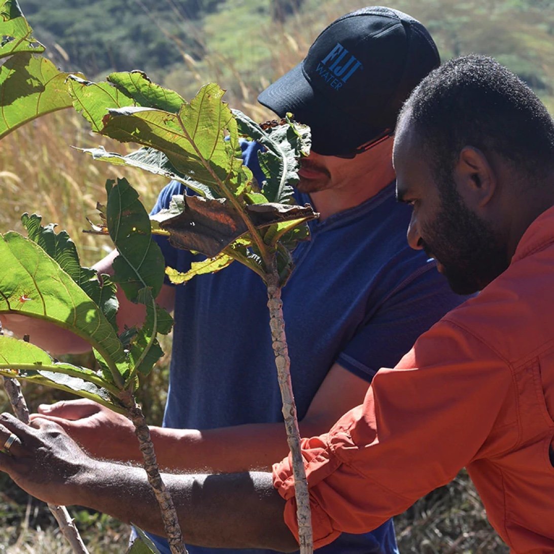 About FIJI Water | FIJI Water