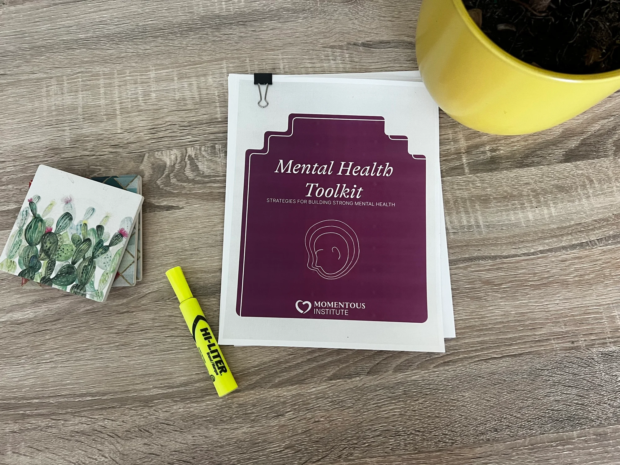 Download our Free Mental Health Toolkit! | Momentous Institute