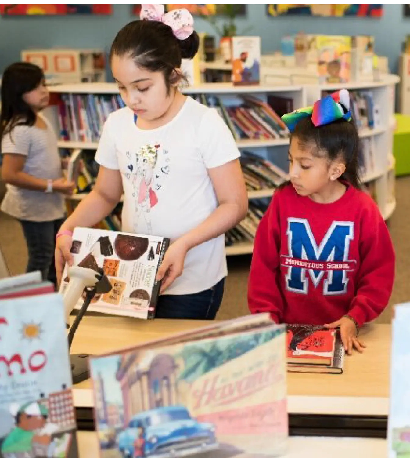 Lessons in Diversifying our School Library | Momentous Institute