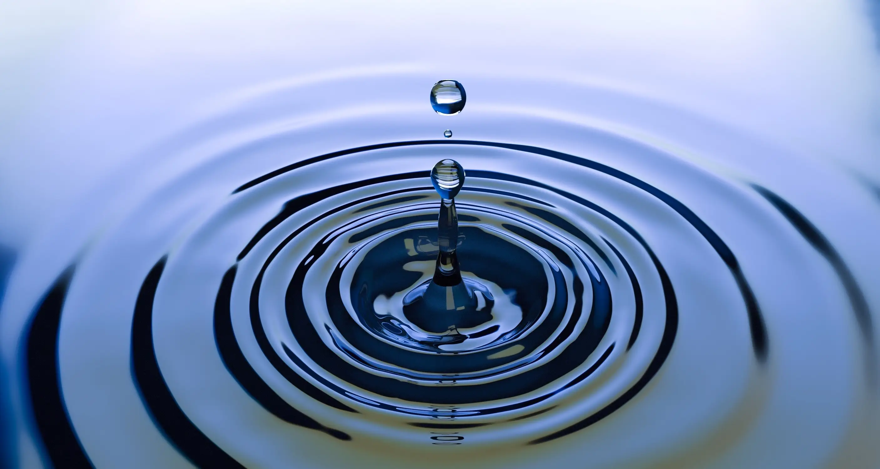 The Ripple Effect | Momentous Institute