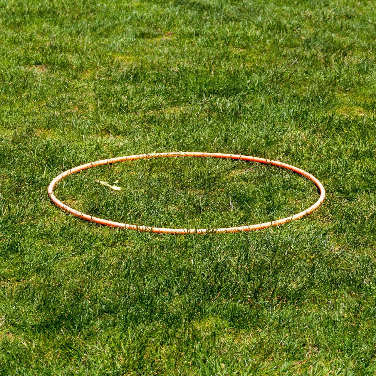 Want a Unique Nature-Based Learning Tool? Try a Hula Hoop | Momentous ...