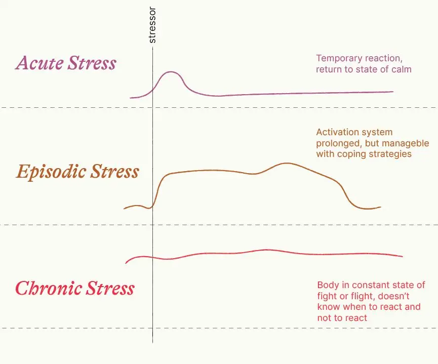 Understanding The Science Of Stress | Momentous Institute