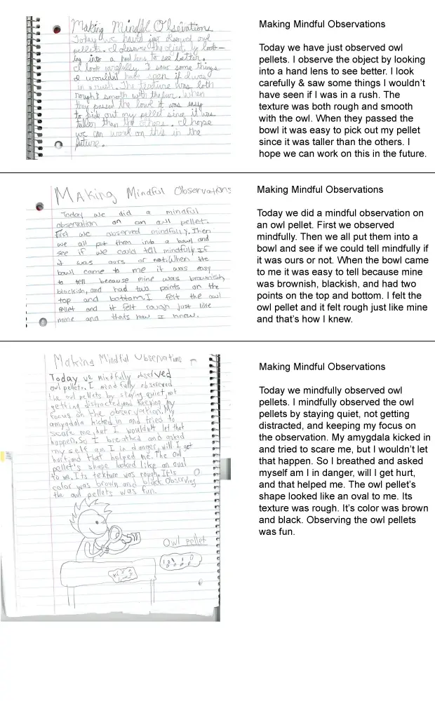 Mindful Observation | Momentous Institute