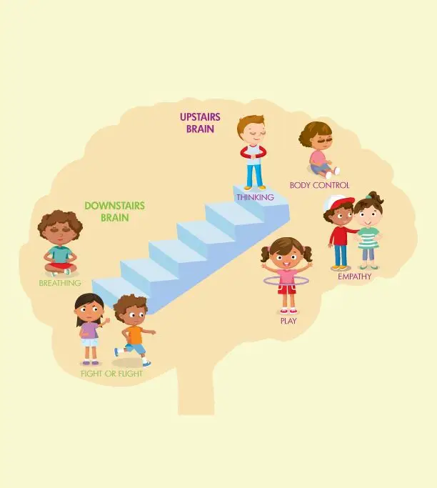 Upstairs And Downstairs Brain | Momentous Institute