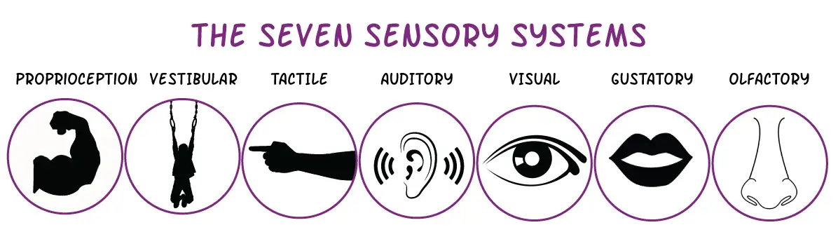 Making Sense Of Sensory Processing | Momentous Institute