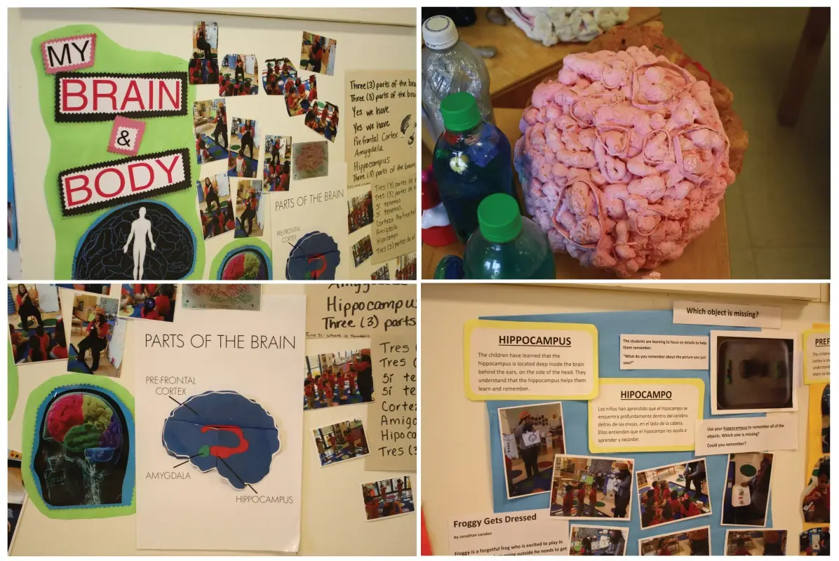 The Happiest Classroom | Momentous Institute