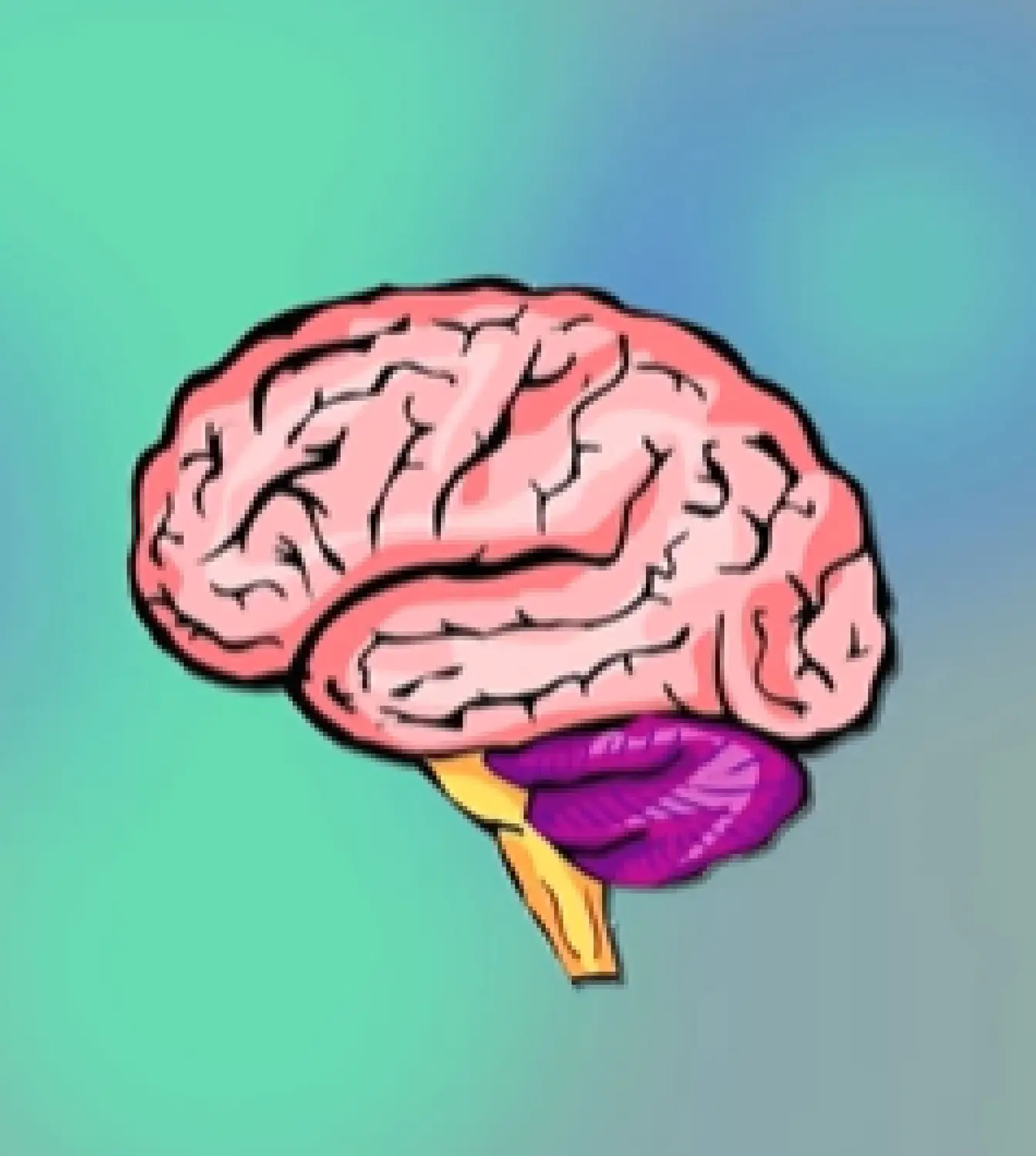 Hand Model of the Brain | Animated | Momentous Institute