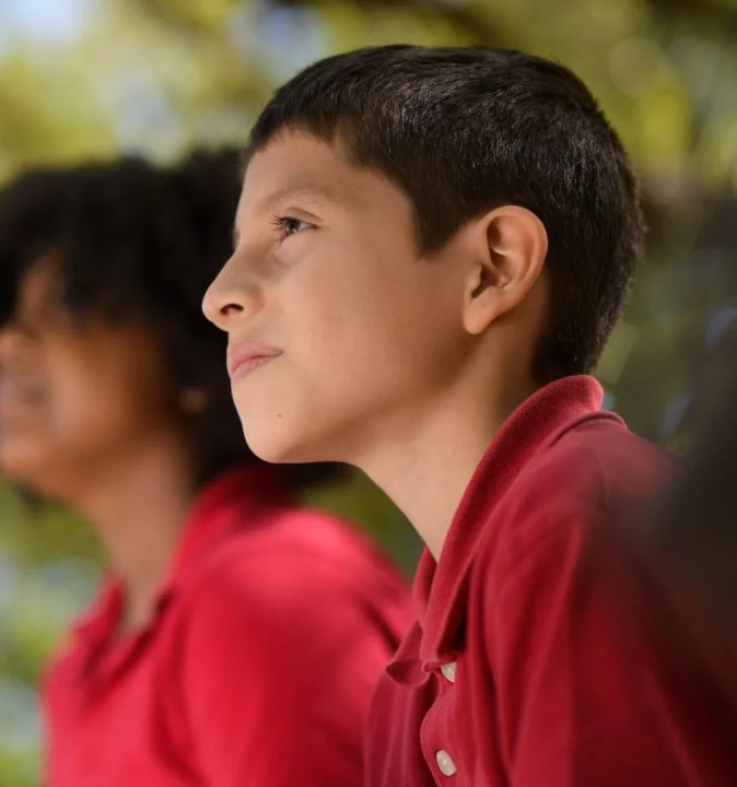 Mindful Observation | Momentous Institute