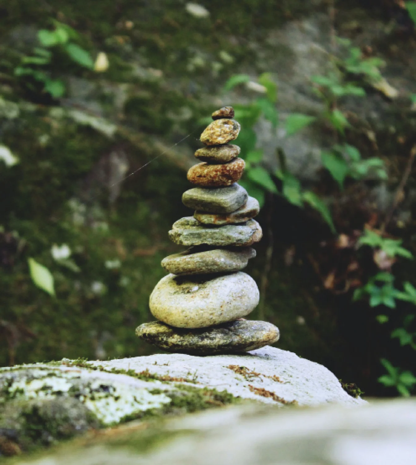 The Small Things Add Up | Momentous Institute