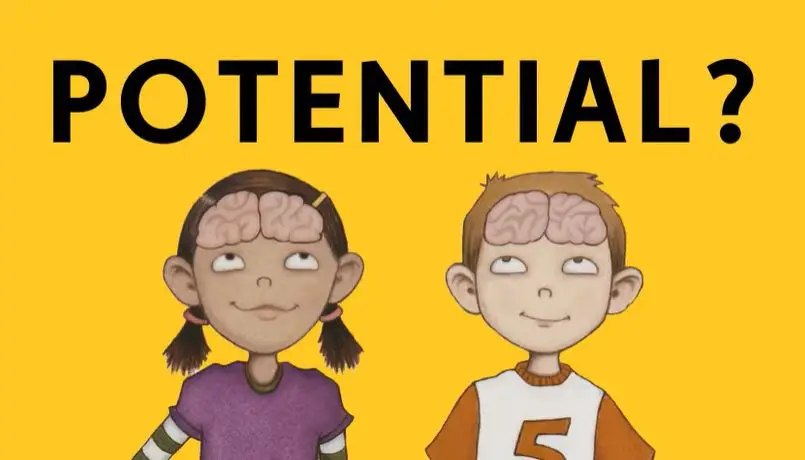 Fantastic Elastic Brain | Momentous Institute