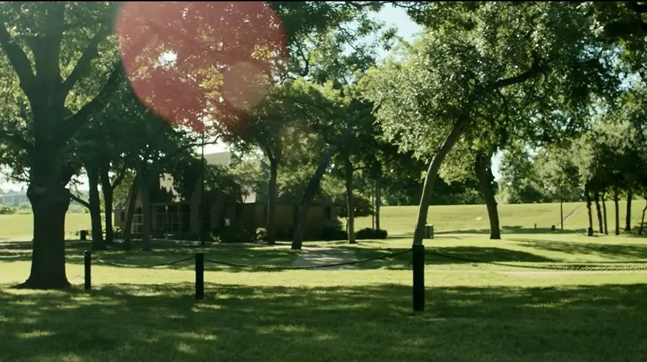 The Effect of Cell Phones on Dopamine in the Brain | Momentous Institute