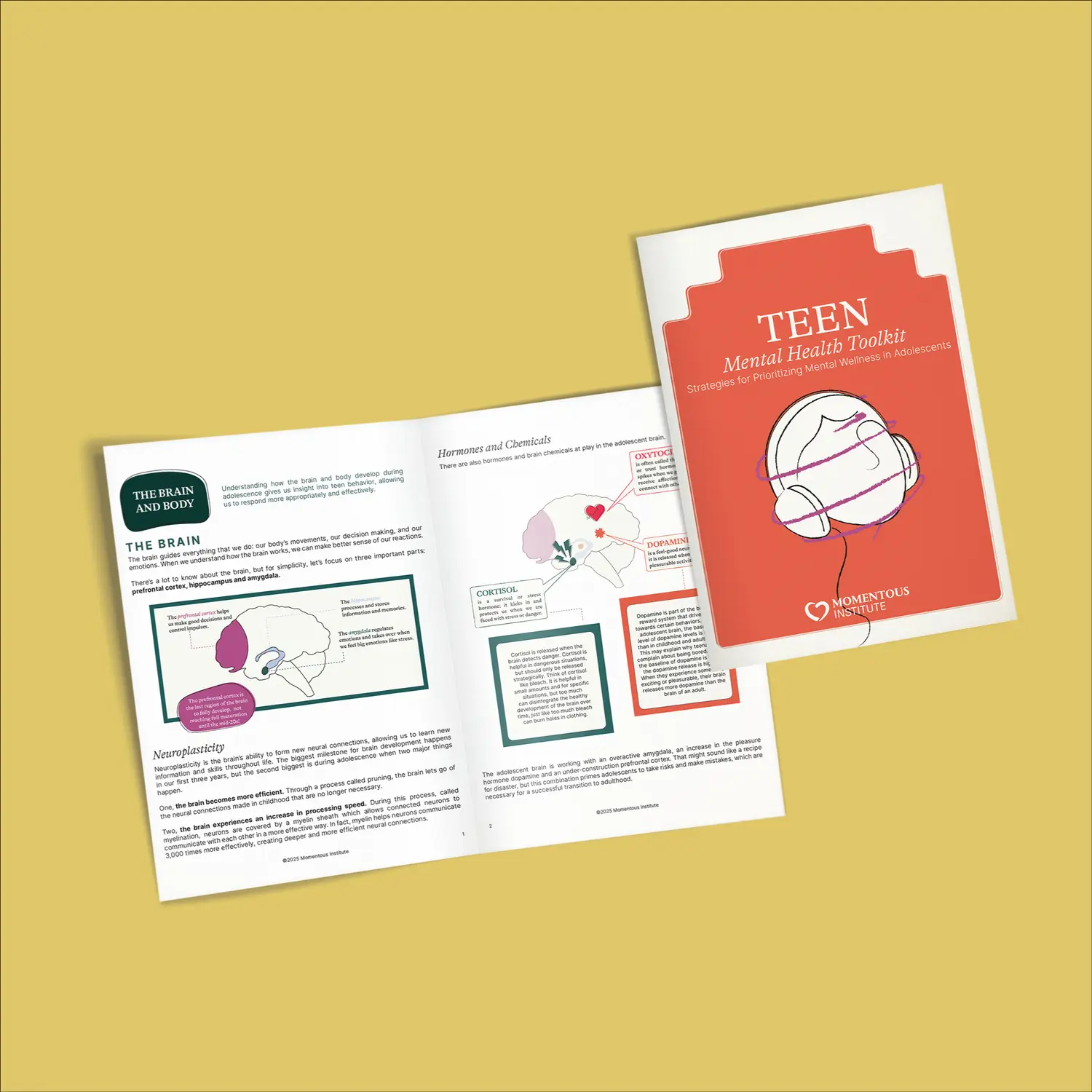 Download our Teen Mental Health Toolkit | Momentous Institute