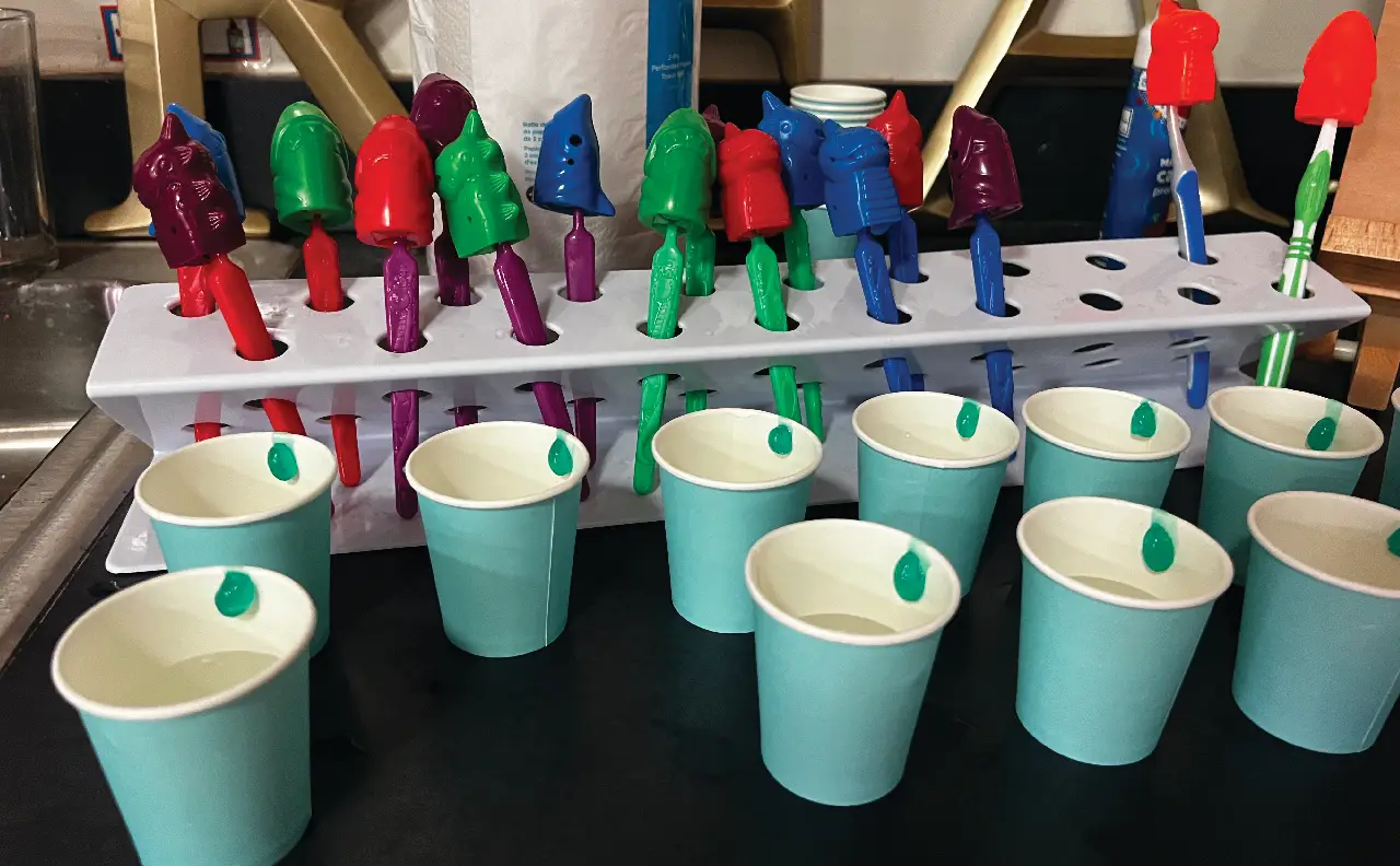 Teeth Brushing in the Kindergarten Classroom | Momentous Institute