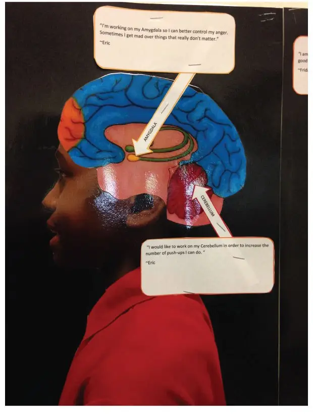 Brain City | Momentous Institute