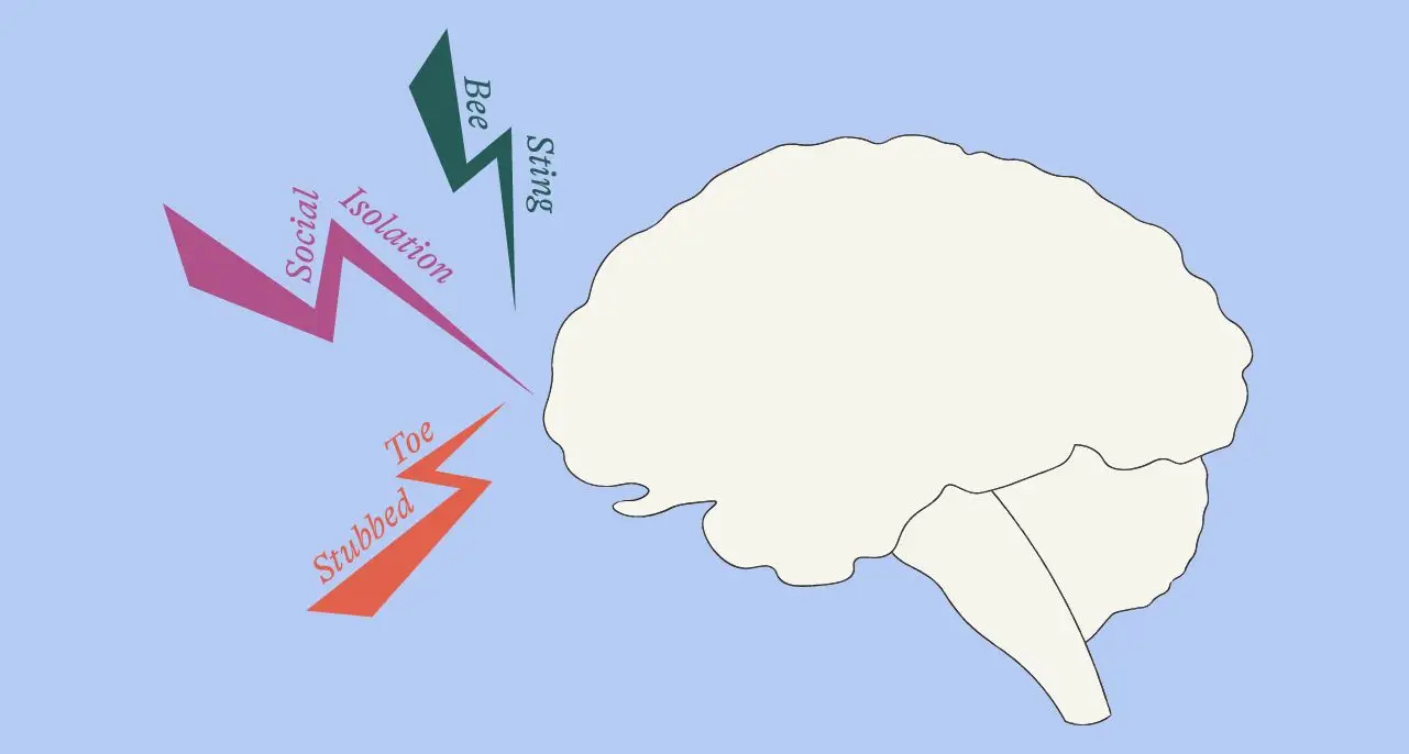 The Science of the Social Brain | Momentous Institute