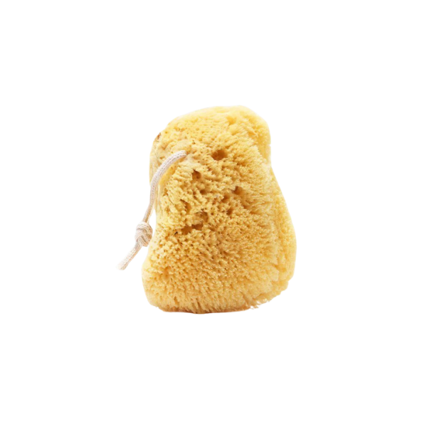 43 Unexpectedly Chic Cleaning Essentials | EyeSwoon