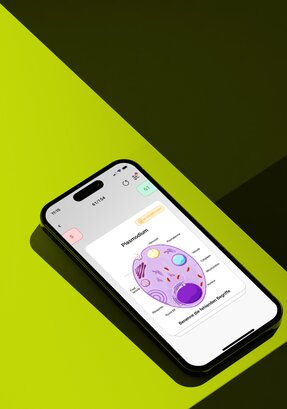 Studydrive - Free university study notes and summaries
