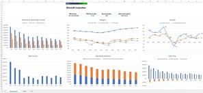 Financial Snapshot Google Sheets and Excel Template