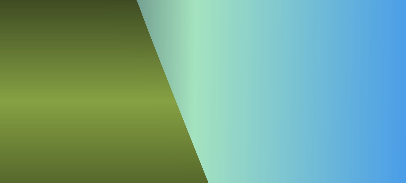 Strategies Progression | EuHu