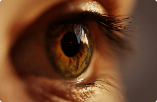 Eye Contact: AI Video Effect | Descript