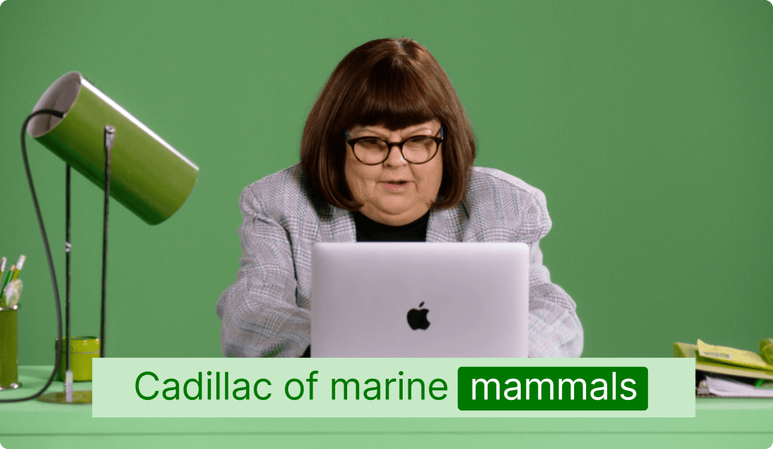 Video Caption and Subtitle Generator | Free w/ Descript