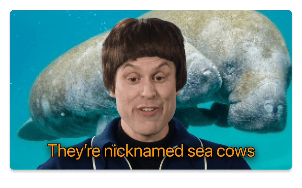 YouTube Thumbnail Text Generator: Stand Out with Descript