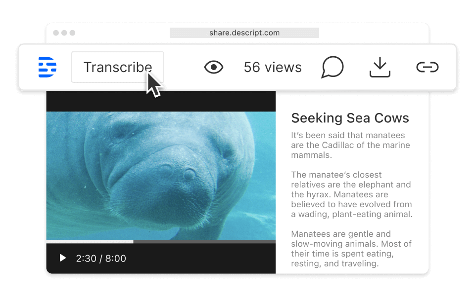 Free Video Link Generator Tool | Descript