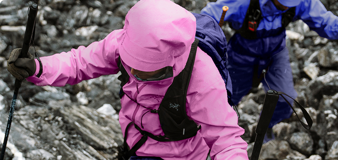 Case Studies | Coloro