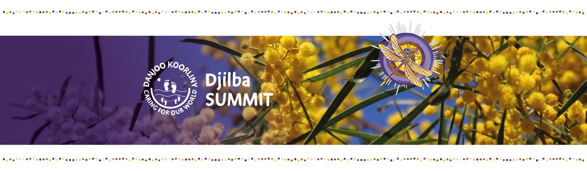 Djilba Festival 2025 – Danjoo Koorliny